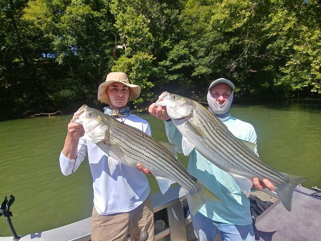 Photo Gallery - Extreme Stripers Guide Service