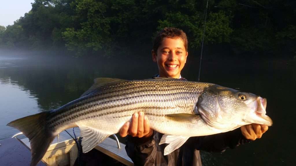 Photo Gallery - Extreme Stripers Guide Service