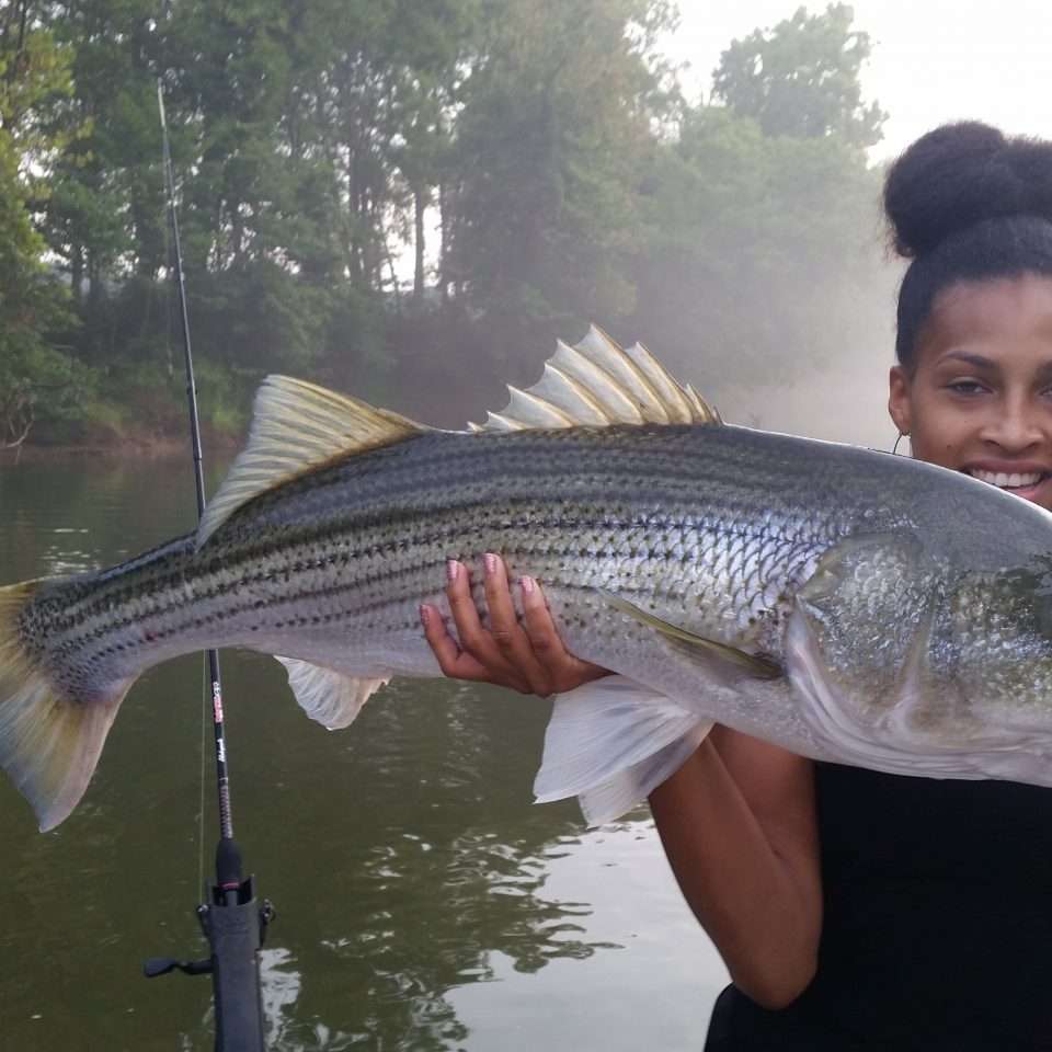 Photo Gallery - Extreme Stripers Guide Service