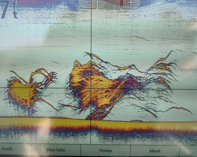 About Us - Extreme Stripers Guide Service