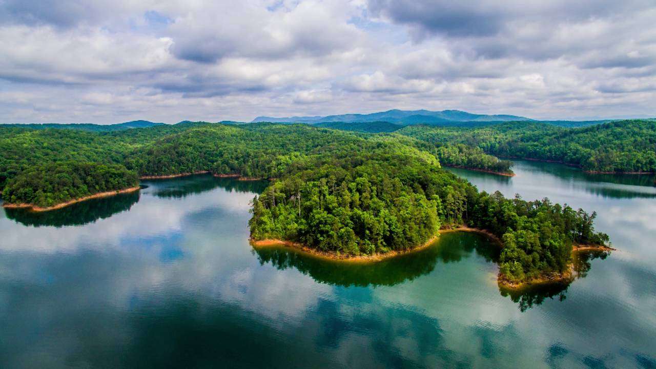 Lake Lanier - Extreme Stripers Guide Service